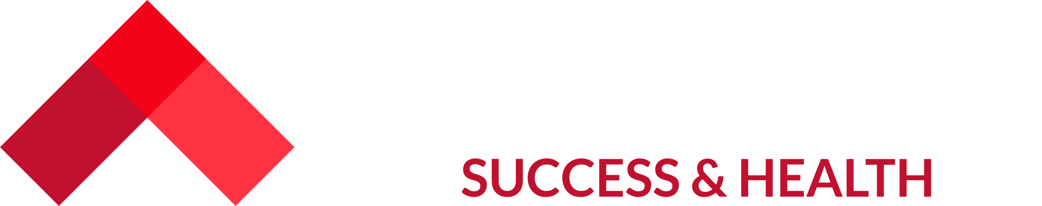 Excellator - Premium Unternehmerausbildung